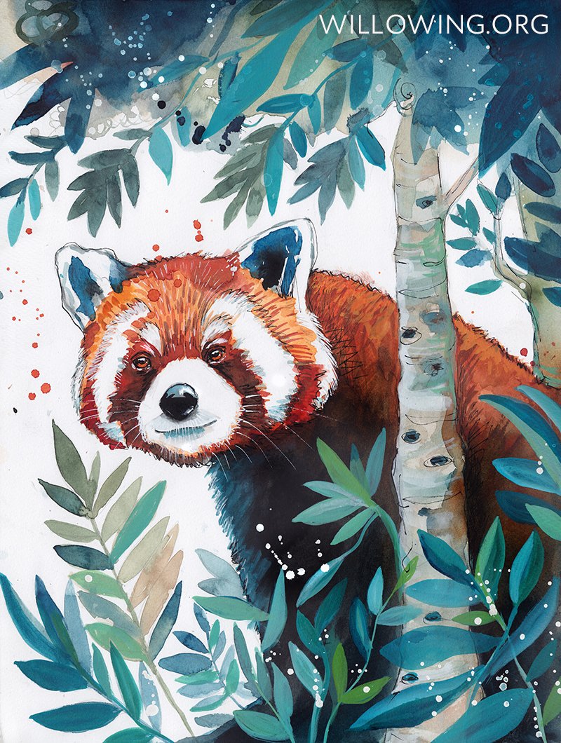 Rambunctious Red Panda - Original Painting - Willowing Arts