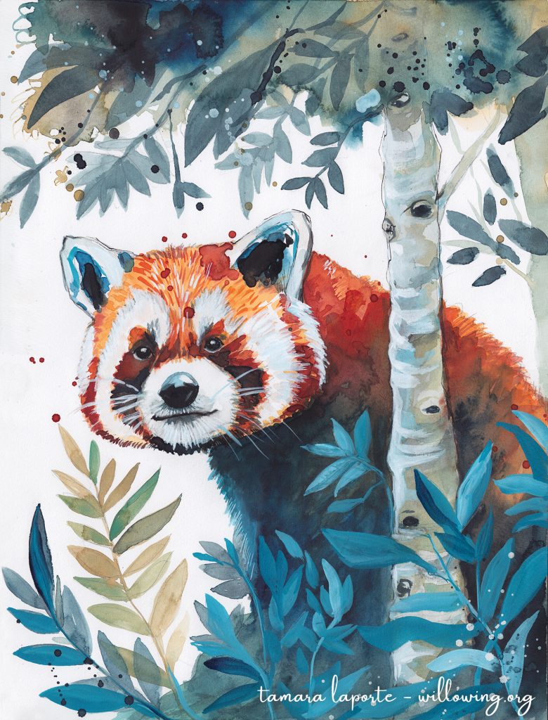 Red Panda Beauty - Original Painting - Willowing Arts